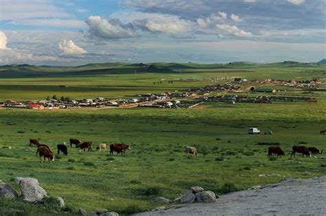 Манай улсын нийт газар нутгийн 23 8 хувьд газрын болон үүрэн холбооны сүлжээ нэвтэрсэн