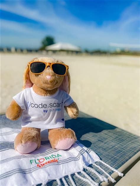 Charlierabit Codescan Staticcodeanalysis Fld23 Autorabit