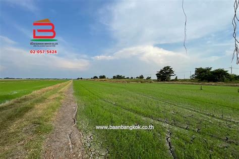 ที่ดินเปล่า เนื้อที่ 5 ไร่ คู้คลองสิบ แยก12 ถนนคู้คลองสิบ แขวงคลองสิบ เขตหนองจอก จ กรุงเทพมหานคร