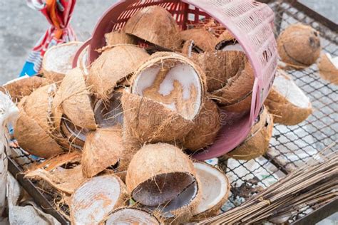 Brown Coconut Shell Stock Image Image Of Kerala Fruit 102971687