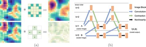 Equivariant Geometric Convolutions For Dynamical Systems On Vector And Tensor Images