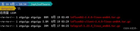 （十）使用influx命令行工具influx Cli Csdn博客
