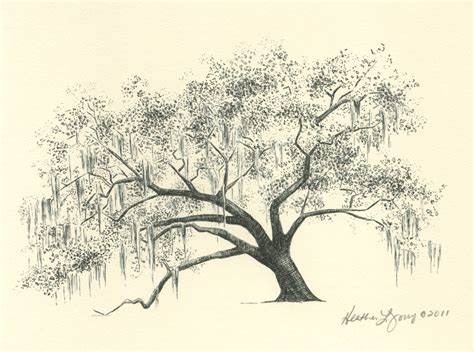 Pen And Ink Tree Drawing At GetDrawings Free Download