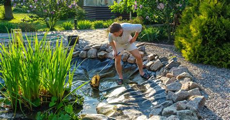 Learn How To Kill Cattails And Have A Cleaner Pond Panhandle Ponds