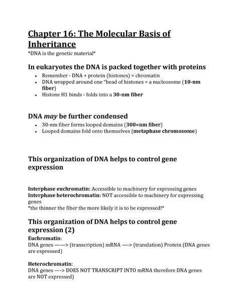 Chapter 16 The Molecular Basis Of Inheritance Chapter 16 The