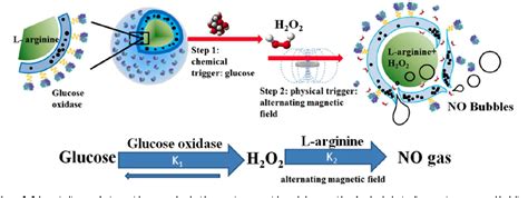 Figure 1 From Micronano Bubble Assisted Ultrasound To Enhance The Epr Effect And Potential
