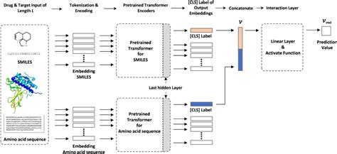 Figure 1 From Fine Tuning Of Bert Model To Accurately Predict Drugtarget Interactions