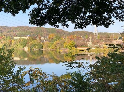 津久井湖城山公園の秋 2022 11 14 ちゅうおうくらしねっと