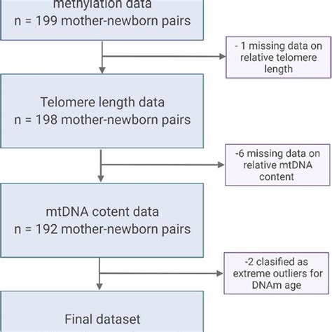 Flow Chart Visualizing The Sample Selection Initially 199
