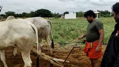 Former Mla Kotturu Manjunath ಕೊರೊನಾ ಎಫೆಕ್ಟ್‌ನಿಂದ ಕೃಷಿ ಕಡೆ ಮುಖ ಮಾಡಿದ