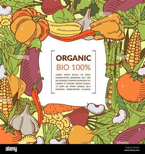Poster With Vegetables Stock Vector Image And Art Alamy