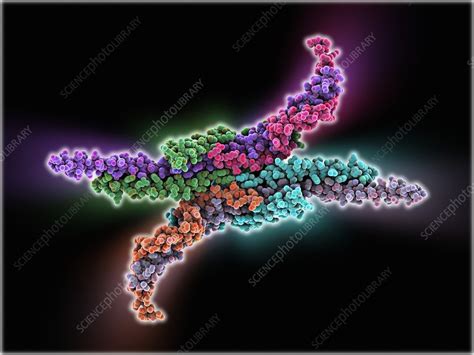 Atpase Molecule Stock Image C0153768 Science Photo Library