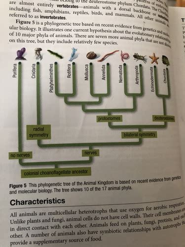 Biodiversity Flashcards Quizlet
