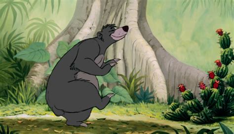 Jungle Book Bear Necessities