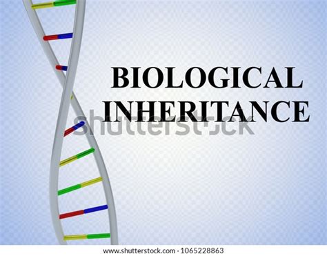 3d Illustration Biological Inheritance Script Dna Stock Illustration 1065228863 Shutterstock