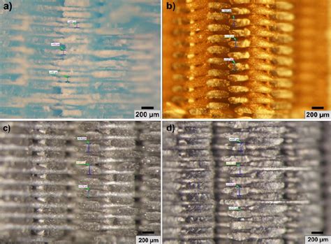 Macrostructural Aspects At Stereomicroscope Of Experimental Samples In