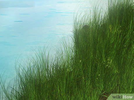 How To Catch Redfish Redrum Tips For A Great Fishing Trip