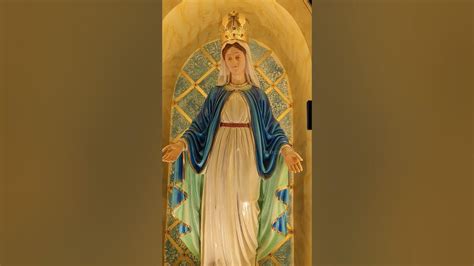 Dec 08 அமலோற்பவ அன்னை பெருவிழா Catholic Christian Mothermary Avemaria Hailmary Jesus Youtube