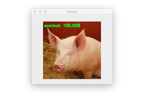 Adversarial Images And Attacks With Keras And Tensorflow Pyimagesearch