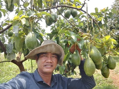 ផ្ទះកូនឈើ ផ្ទះកូនឈើ Added A New Photo