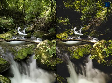 Chipmunkys Remix Photoshop Lightroom