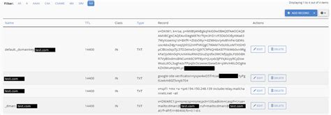 Creating And Looking Up TXT Records IONOS CA