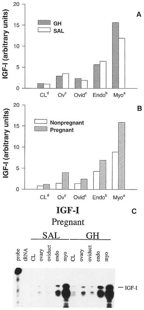 Expression Of Igf I Mrna In Reproductive Tissues Cl Ovary Ov Minus Download Scientific