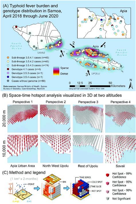 Spatial Temporal And Genomic Analysis Of Typhoid Fever Cases Burden