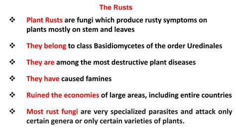 Stages Of Plant Growth Rust At Alana Toomey Blog