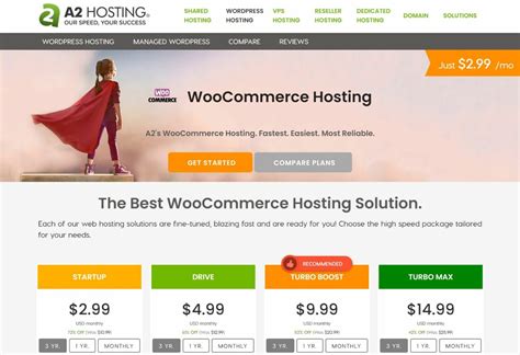 Wordpress Hosting Vs Woocommerce Hosting Key Differences Explained