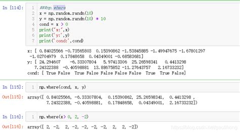 第四章 Numpy基础：数组与向量化numpy 向量作为数组元素 Csdn博客