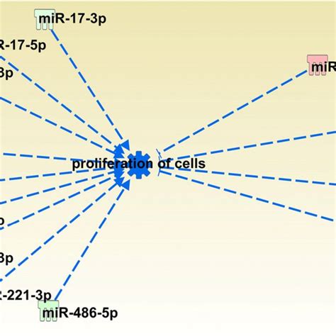 Ingenuity Pathway Analysis Of Differentially Expressed Mirna The