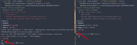 Cargo Command Doesnt Fail On Skipped Step If Executed With Retries