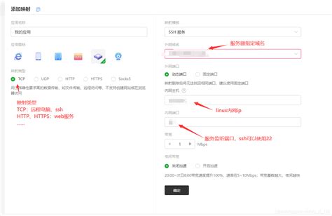 Linux服务器使用花生壳配置内网穿透 Csdn博客