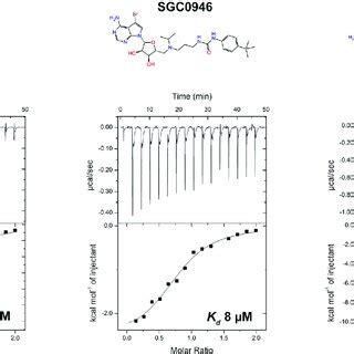 ITC Binding Analysis Of Nsp14 Nsp10 Complex With GpppA RNA Cap Analog Download Scientific