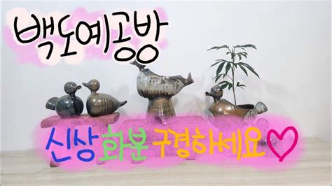 2024121840회영상빈티지수제화분🪴선물도따라갑니다빈티지화분심플화분다육화분 야생화화분 창분명품화분 수제화분고급화분대형화분연출화분 통풍잘되는화분