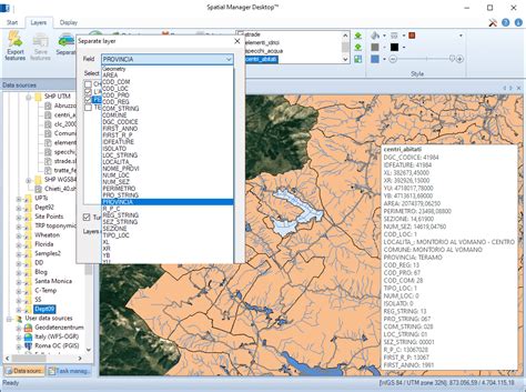 Spatial Manager Desktop Layer Management