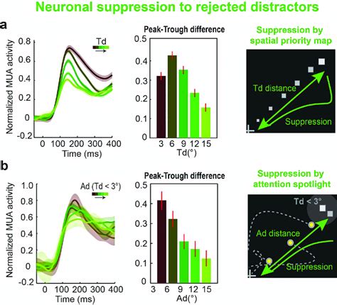 Neural Reactiveness In Distractor D Correct Rejection Trials As A Download Scientific Diagram