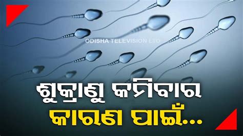 What Actually Affect Mens Fertility And Sex Life Know Here Youtube