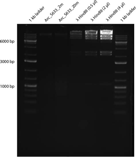 An Aquatic Microbial Metaproteomics Workflow From Cells To Tryptic