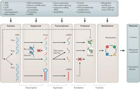 Figure 11 From Cancer Subtype Identification Using Large Scale Omics