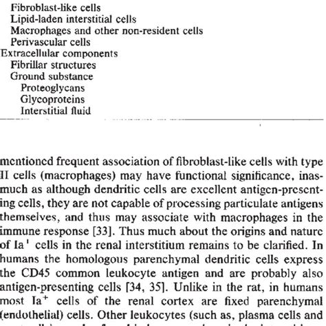 Pdf Anatomy Of The Renal Interstitium