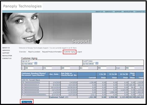 Display Sage 300 Customer Aging Report In Sage Crm Self Service Sage Crm Tips Tricks And