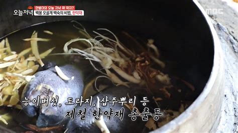 최고의 여름 보양식 백봉 오골계