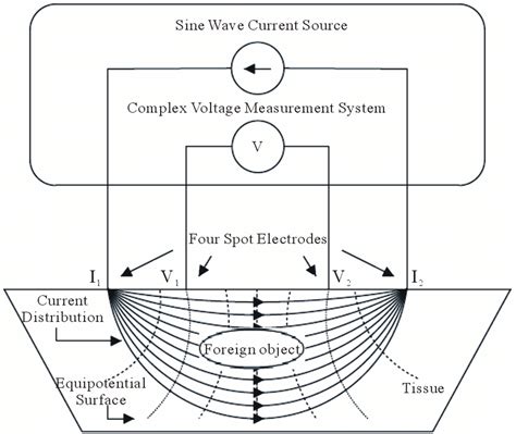 Four Electrode Measurement System Download Scientific Diagram