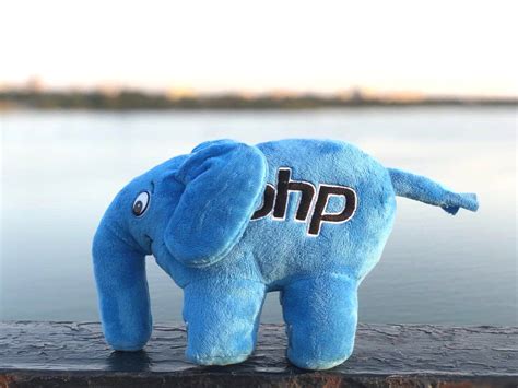Enqueue Php Enqueue Twitter