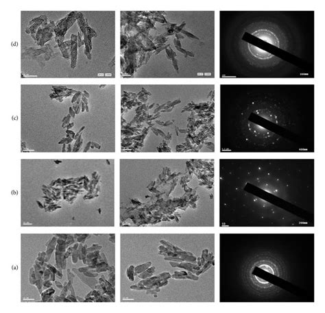 Tem Micrographs Of A Pure N Ha B Csha Nanocomposite Prepared At