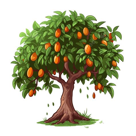 Mango Tree Vector Sticker Clipart Mango Tree With Mango Cartoon Sticker Clipart Png And