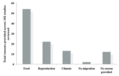 3 Summary Of Reasons For Migration In Plankton Feeding Elasmobranchs Download Scientific