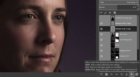 Making Settings Persistent In GIMP GIMP